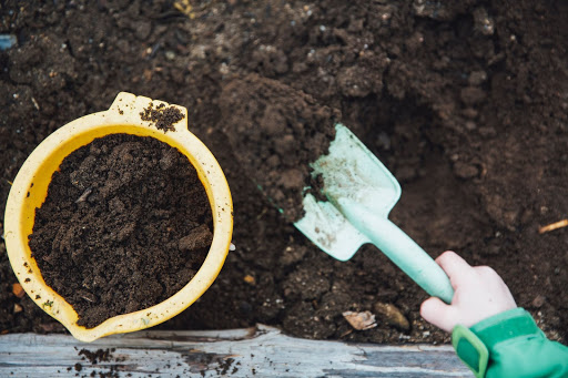Grow Healthy Plants Through Composting | Luxury Homes by Brittany