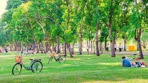The Most Beautiful Parks Around the World | Brittany Corporation