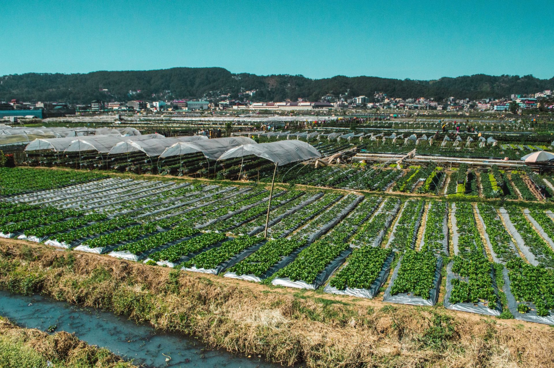 What Are The Top Tours & Activities In Baguio | Brittany Corporation