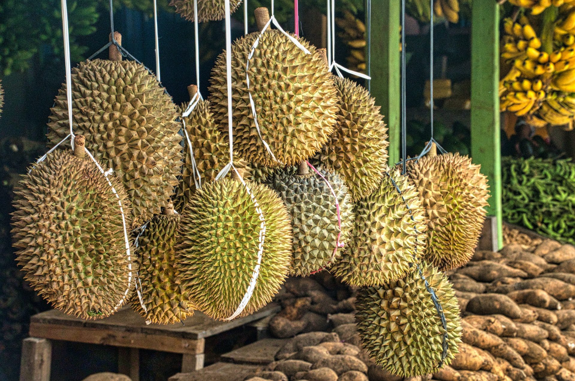 Health Benefits of Eating Durian Fruit | Brittany Corporation