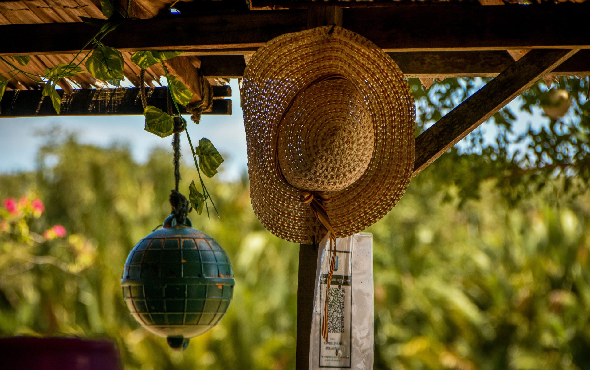 Best Indoor Plants for Cooling Your Summer House | Luxury Living