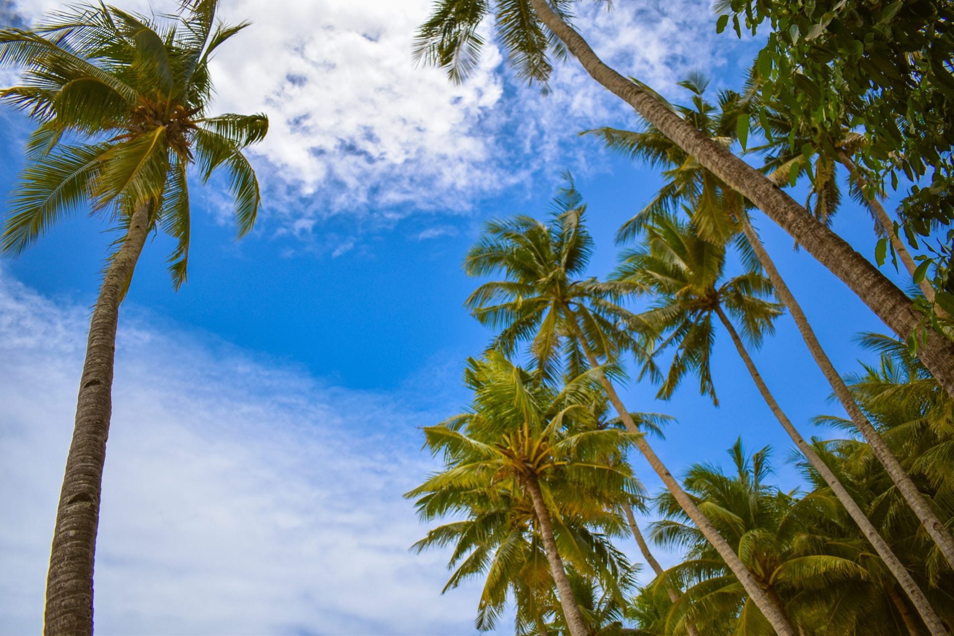 Discovering Boracay's Natural Wonders | Brittany Corporation