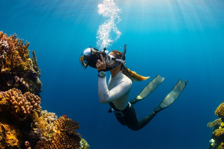 Scuba Diving 101: In The Know | Brittany Corporation