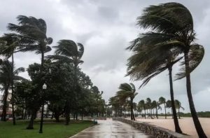 Emergency Kit For Typhoon Guide | Brittany Corporation